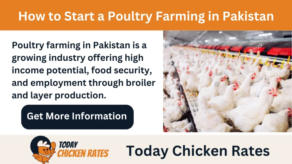 Chicken Rate Today in Lahore Updated, 24 May 2025