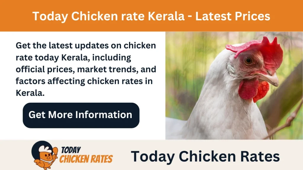 Chicken Rate Today in Lahore Updated, 03 June 2025